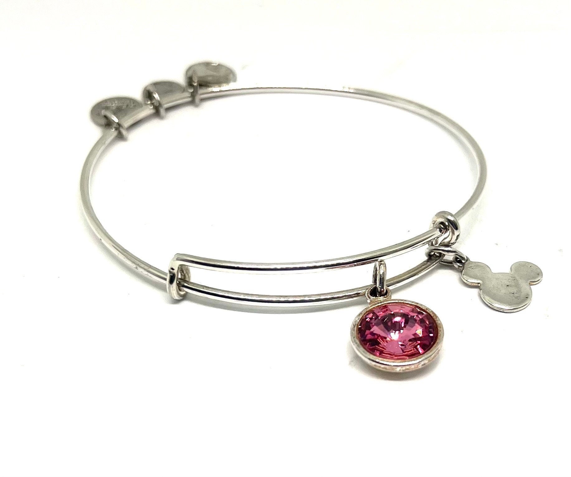 Disney Park Exclusive Charms and Bangles – baubles N silver